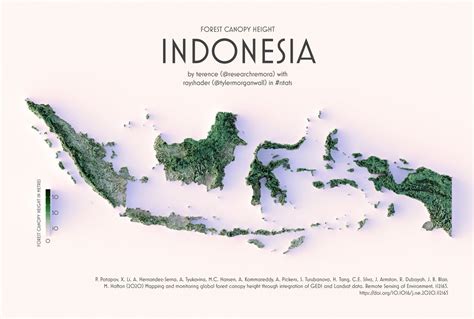 A Forest Canopy Height Map Of Indonesia Using Data Maps On The Web