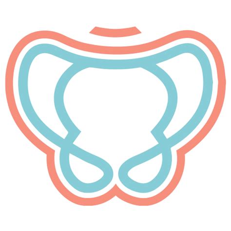 Pelvic Floor Physiotherapy Services Glow Physiotherapy