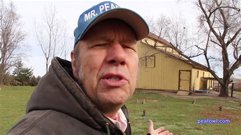 Protecting Peacocks From Predators Peacock Minute Youtube