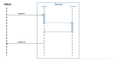 Tomcat Nginx