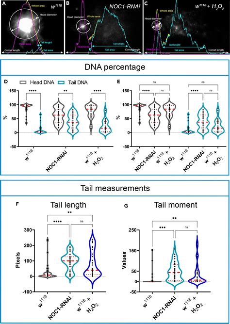 Cell Press Star Protocols