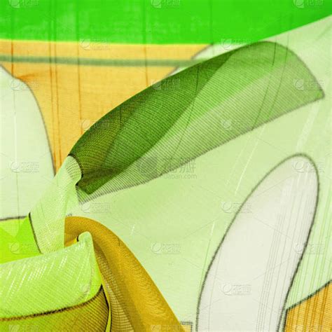 Organza