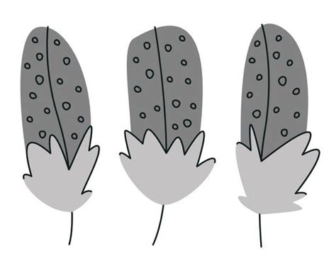 Page 2 Welsh Feathers Vector Art Icons And Graphics For Free Download