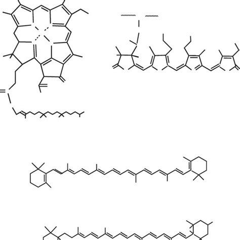Pdf Photosynthesis In Microalgae