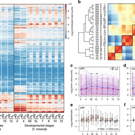 Sex Specific Transcriptional Regime Of Transposable Elements Across