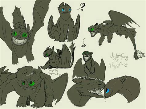 Toothless X Reader Httyd 3 Special Chapter Wattpad