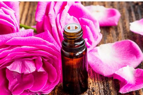 گل محمدی برای پریودی؛ دمنوش گلاب آرام بخش صورتی قرمز Flower آراد