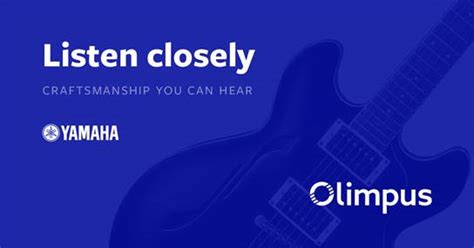 Olimpus Music The Evolution Of The Guitar From Acoustic To Electric