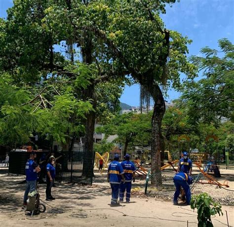 Praça Xavier de Brito recebe mutirão de serviços da Prefeitura no feriado Super Rádio Tupi