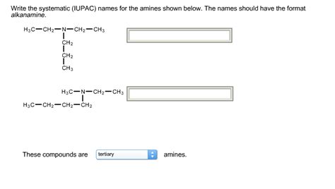 Solved Write The Systematic IUPAC Names For The Amines Chegg