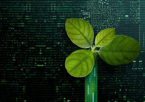 Publication Of The Proposal Of The Dutch Implementation Of The Corporate Sustainability Due