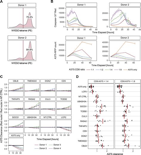 Genome Wide Crispr Screens In Primary Human T Cells Reveal Key
