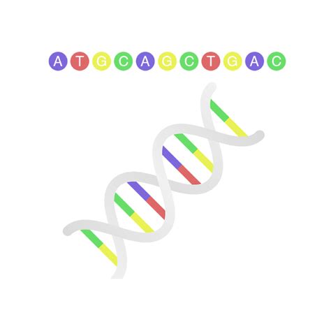 Dna