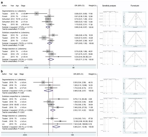 Segmentectomy And Wedge Resection For Elderly Patients With Stage I Non