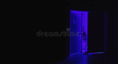 Hacker Hide Or Neon In Night Coding Web 30 Programming Or Phishing