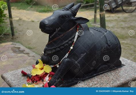 Nandi Hindu God