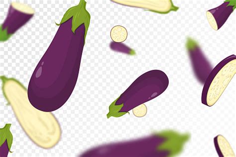 투명한 배경에 격리된 떨어지는 가지 흐릿한 효과로 전체 및 얇게 썬 가지 야채를 날립니다 광고 포장 배너 포스터 인쇄에 사용할 수 있습니다 벡터 평면 디자인 가지 채소에