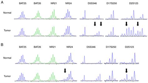 Validation Results Of Msi Test Using The In House Method A Waveform