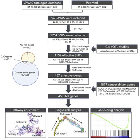Genetic Association And Single Cell Transcriptome Analyses Reveal