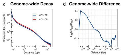 个人hic分析流程搭建3—hic数据上游模块分析hicrep Csdn博客