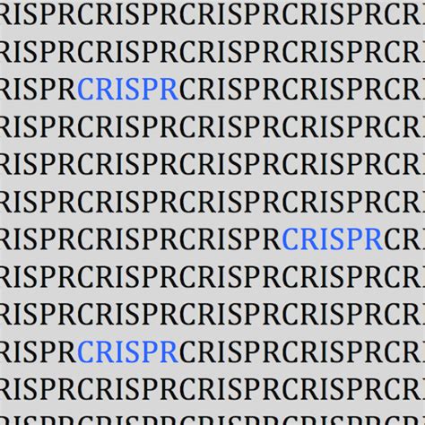 Part I Panel Suggestions For Improving The Crispr Workflow
