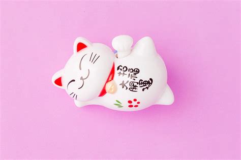 19 Purrfect Ts For Cat Lovers Artofit