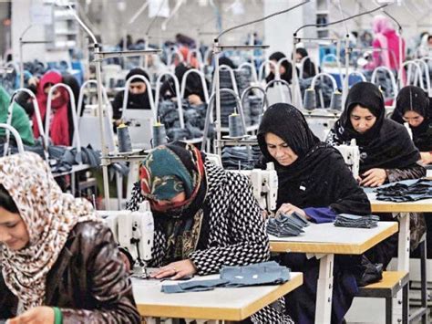 اهمیت مهارت‌افزایی شهروندان برای بهبود کیفیت زندگی ایمنا