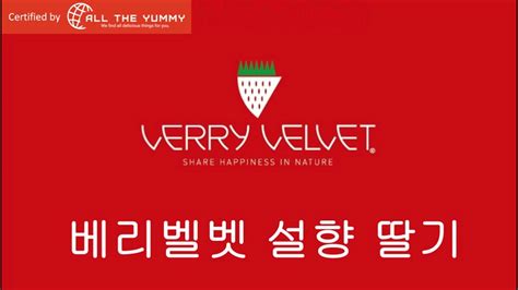 딸기나무근접샷 Youtube