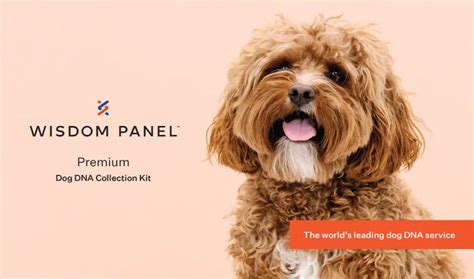 Wisdom Panel™ The Leader In Pet Dna Testing