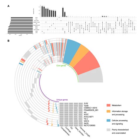 Microorganisms Free Full Text Complete Genome Sequence And Pan