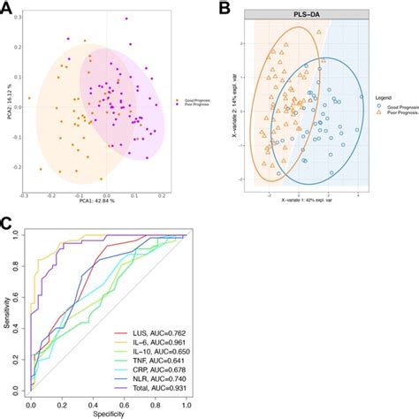 The Diagnostic Value Of LUS Combined With Serum Inflammatory Markers