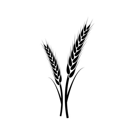 Wheat Vector