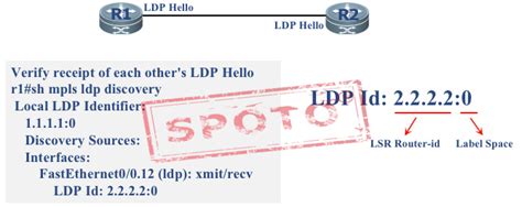 Overview Of LDP Neighbor Establishment SPOTO Official Blog
