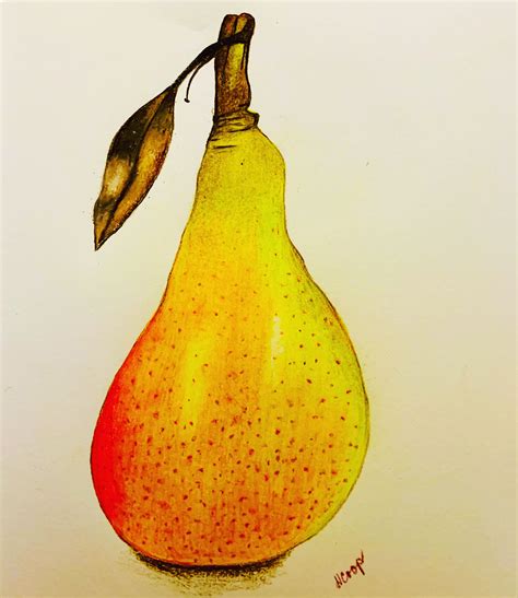 Pear Drawing Pear Drawing Drawings Pear