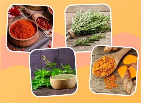 The 11 Healthiest Herbs And Spices You Can Eat