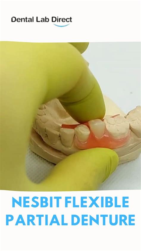 Nesbit Flexible Partial Denture Diy Partial Dental Flipper Flipper Tooth Partial