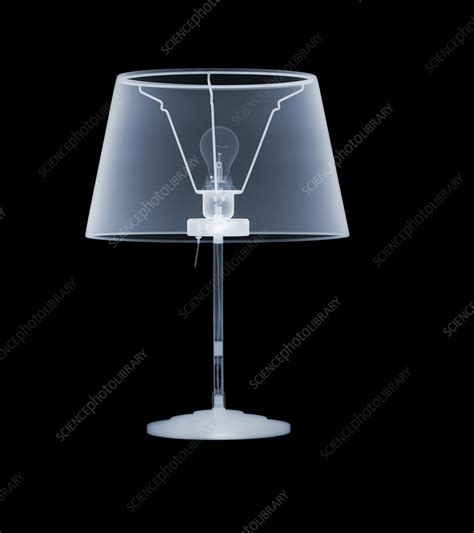 Table Lamp X Ray Stock Image F030 6547 Science Photo Library