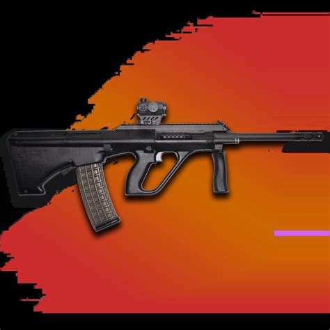 Steyr Aug 223rem Budapest Shooting
