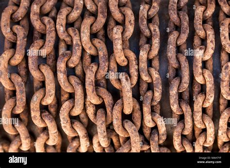 Tree Rusty Chains Over A White Background Stock Photo Alamy
