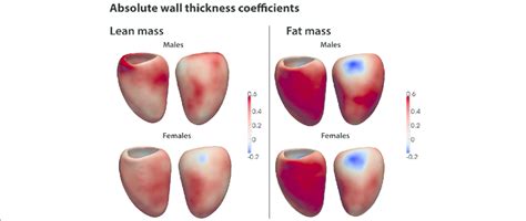 Three Dimensional Regression Models Of The Association Between Absolute Download Scientific