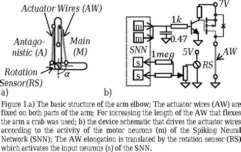 Figure 1 From Spiking Neural Network For Controlling The Artificial