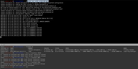 Port Publishing With Unspecified Host Port Does Not Work Issue 195