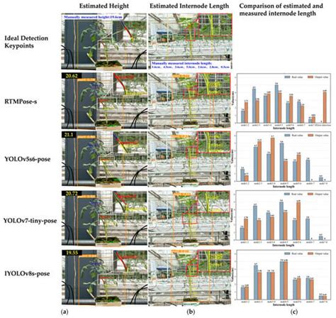 An Improved 2d Pose Estimation Algorithm For Extracting Phenotypic