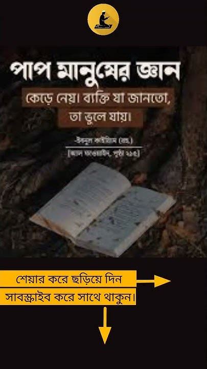 কুরআন এর বানী কুরান উদ্বৃতি কুরানের ত্বর্জমা দ্বীন দুনিয়া Shorts