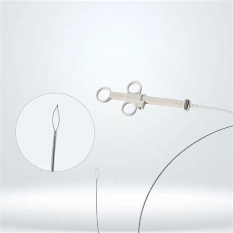 Disposable Polypectomy Snare