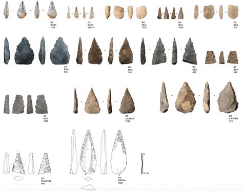 Stone Age Weapons