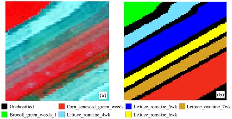 An Adaptive Capsule Network For Hyperspectral Remote Sensing Classification