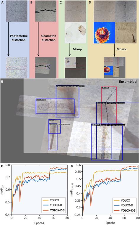 Yolox Dg Robotic Detection Systems For Large Scale Underwater Concrete