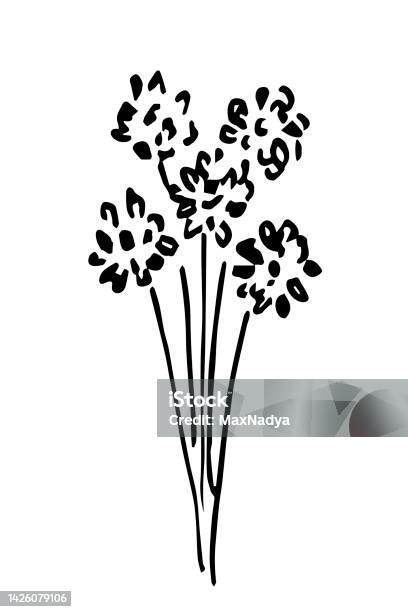 간단한 검은 윤곽선 벡터 그리기 야생화의 꽃다발 꽃차례 잉크로 스케치하십시오 0명에 대한 스톡 벡터 아트 및 기타 이미지 0명 가을 개화기 Istock