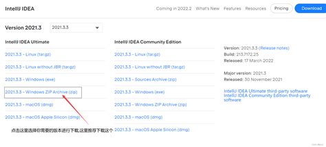Idea202133的安装方式以及使用方法idea202133安装教程 Csdn博客